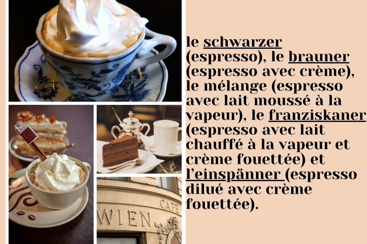 La culture des cafés viennois